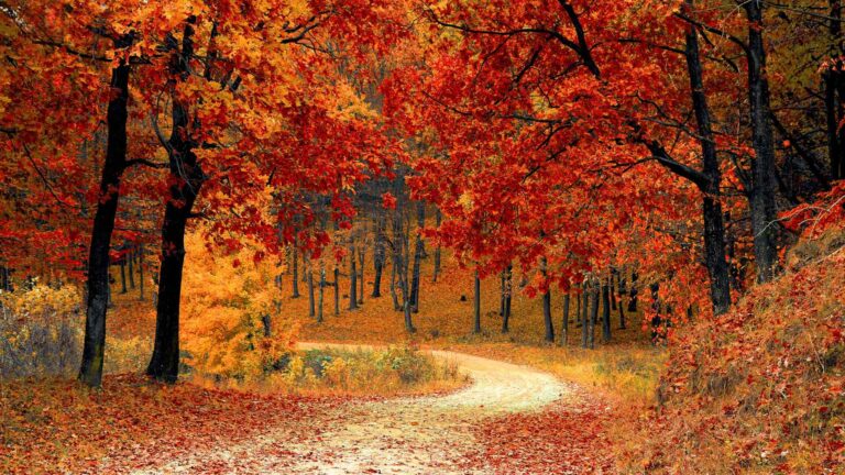 The Best Fall Riddles For The Cozy Season