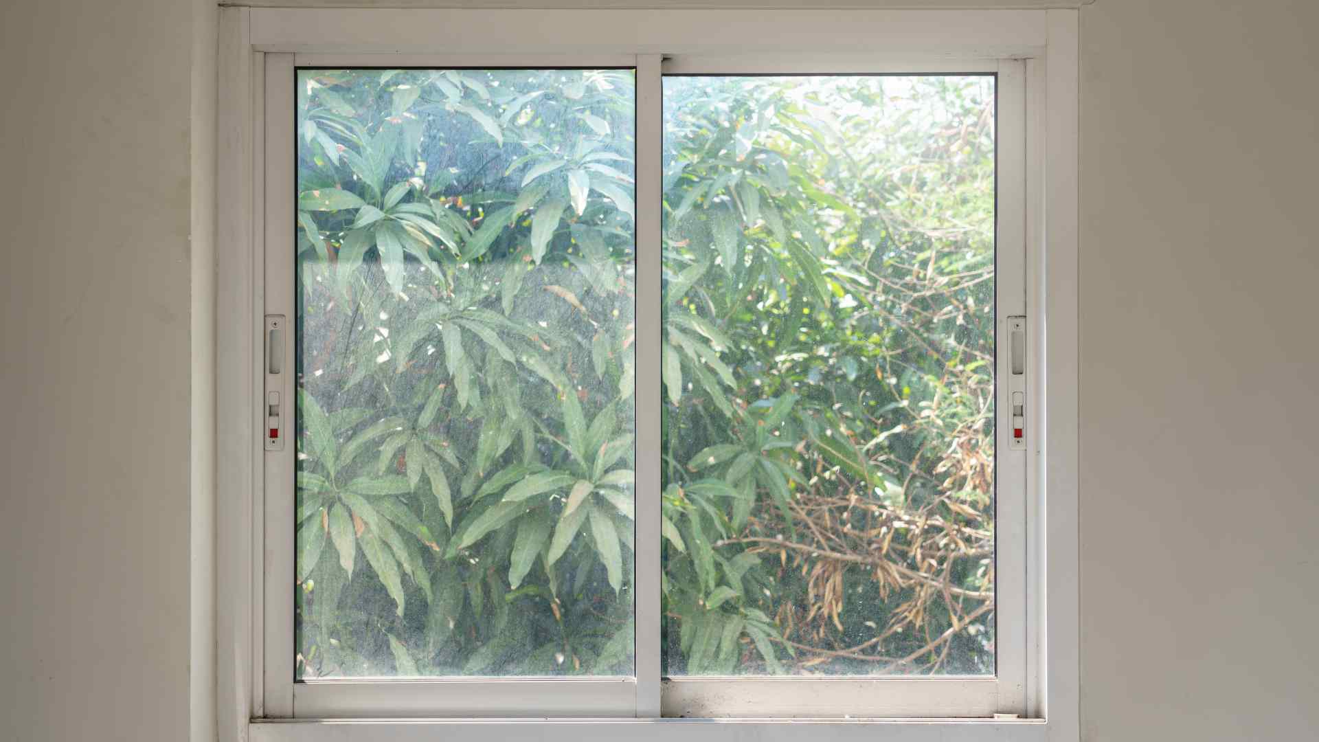 Green Glass Door Riddle: Solving the Mystery