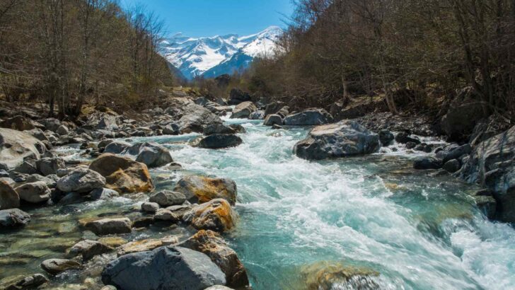 River Riddles: Mysteries of Nature’s Puzzles