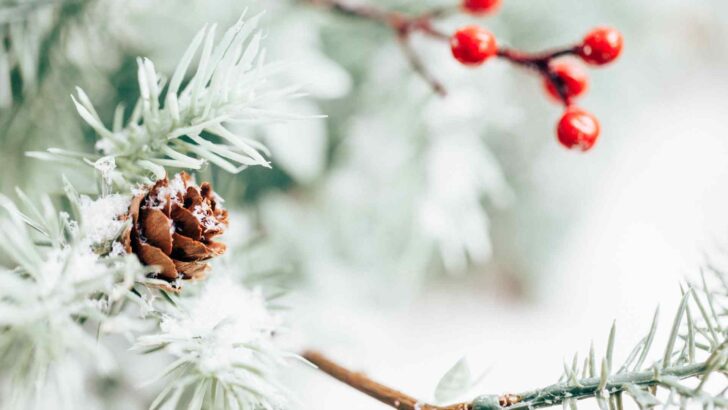 The Best Winter Riddles: Frosty Fun and Brain Teasers